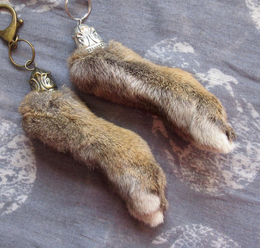 Extra Large Taxidermy Rabbit's Foot, Ethically Sourced - Etsy