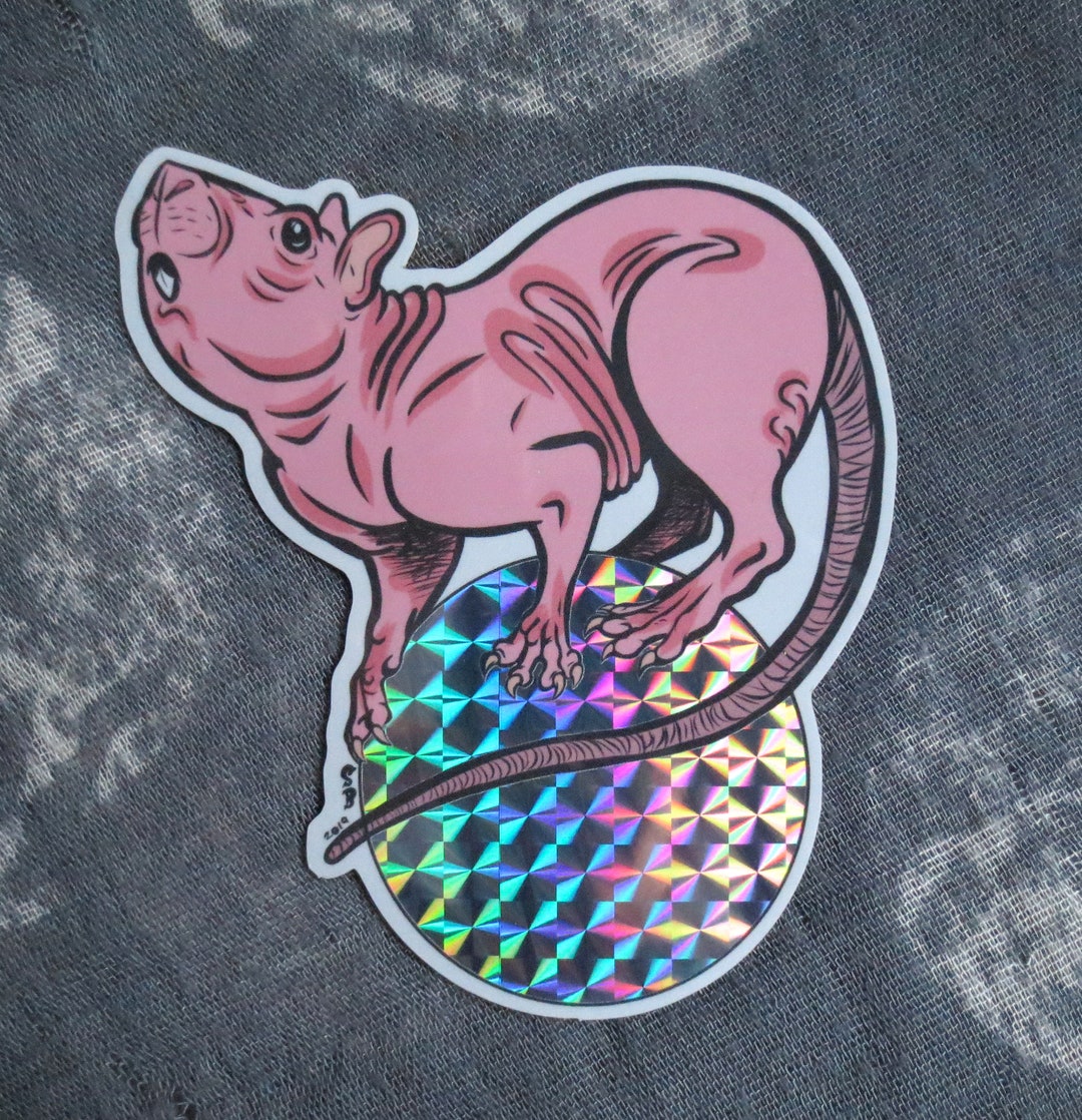 Nude Rat on Holo Orb Sticker, Rat Die Cut Sticker, 4x4.5 - Etsy
