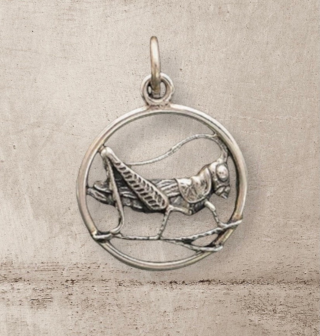 Sterling Silver Lucky Cricket Charm 22x15mm - Etsy