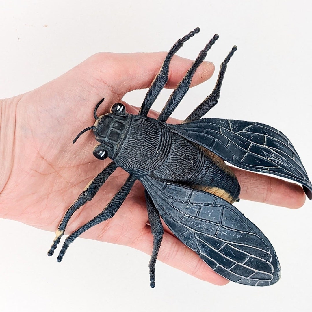 Vintage 1999 Cicada Plastic Toy Insect Rubber Bugs, Large Insect Prop ...