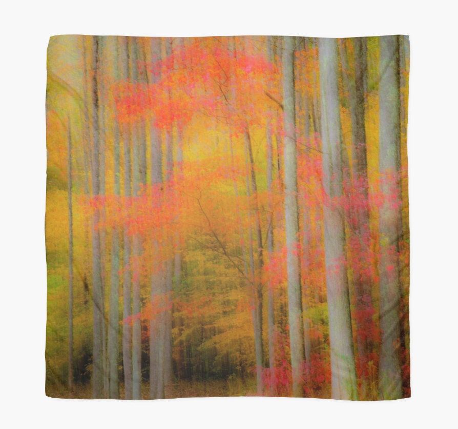 Fall Scarf Autumn Scarf Autumn Wrap Trees Scarf October - Etsy
