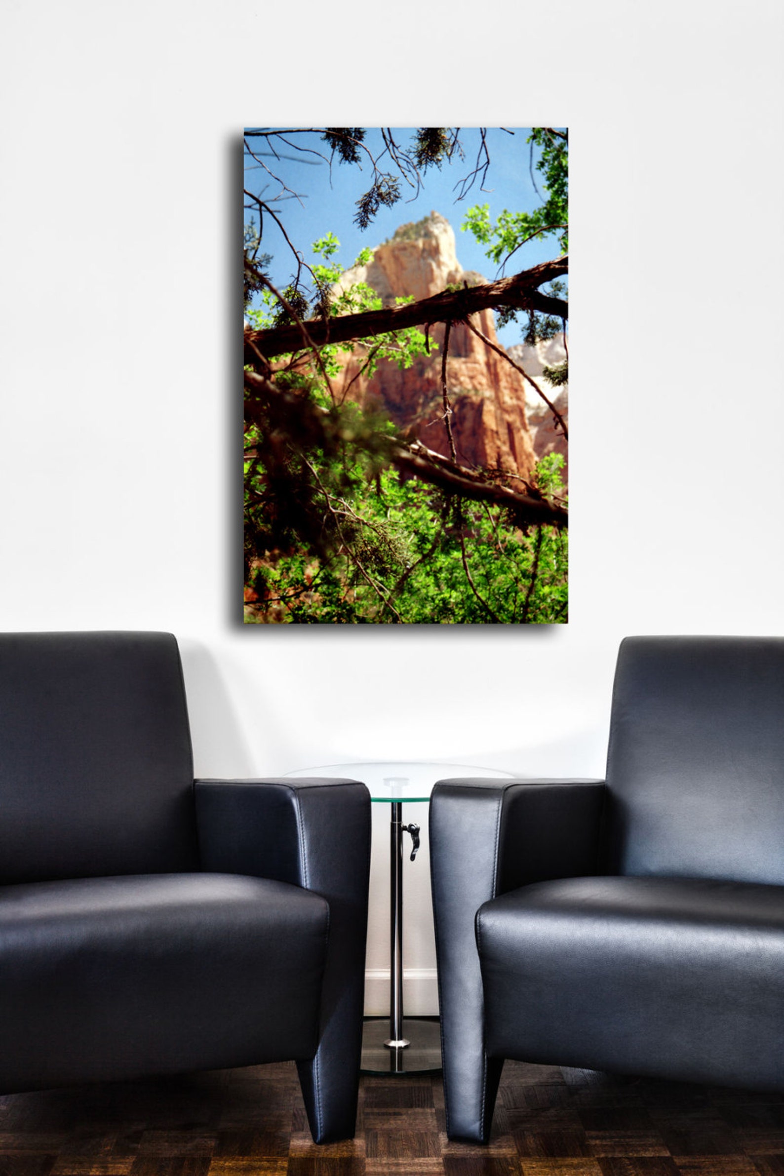 Zion National Park Zion Print Zion Canvas Wrap National - Etsy