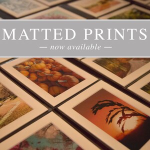 Ruth and Idgy, Ruth and Idgie, Fried Green Tomatoes, Whistlstop Cafe ...