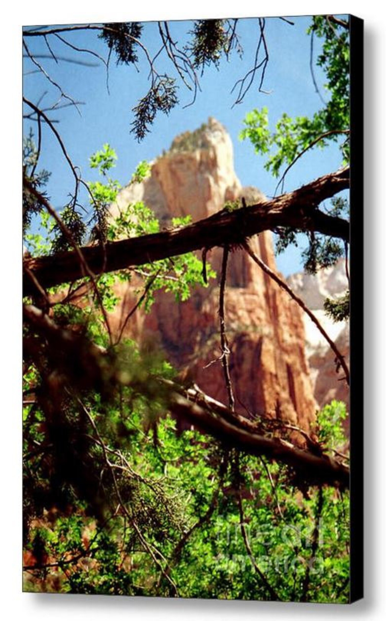 Zion National Park Zion Print Zion Canvas Wrap National - Etsy