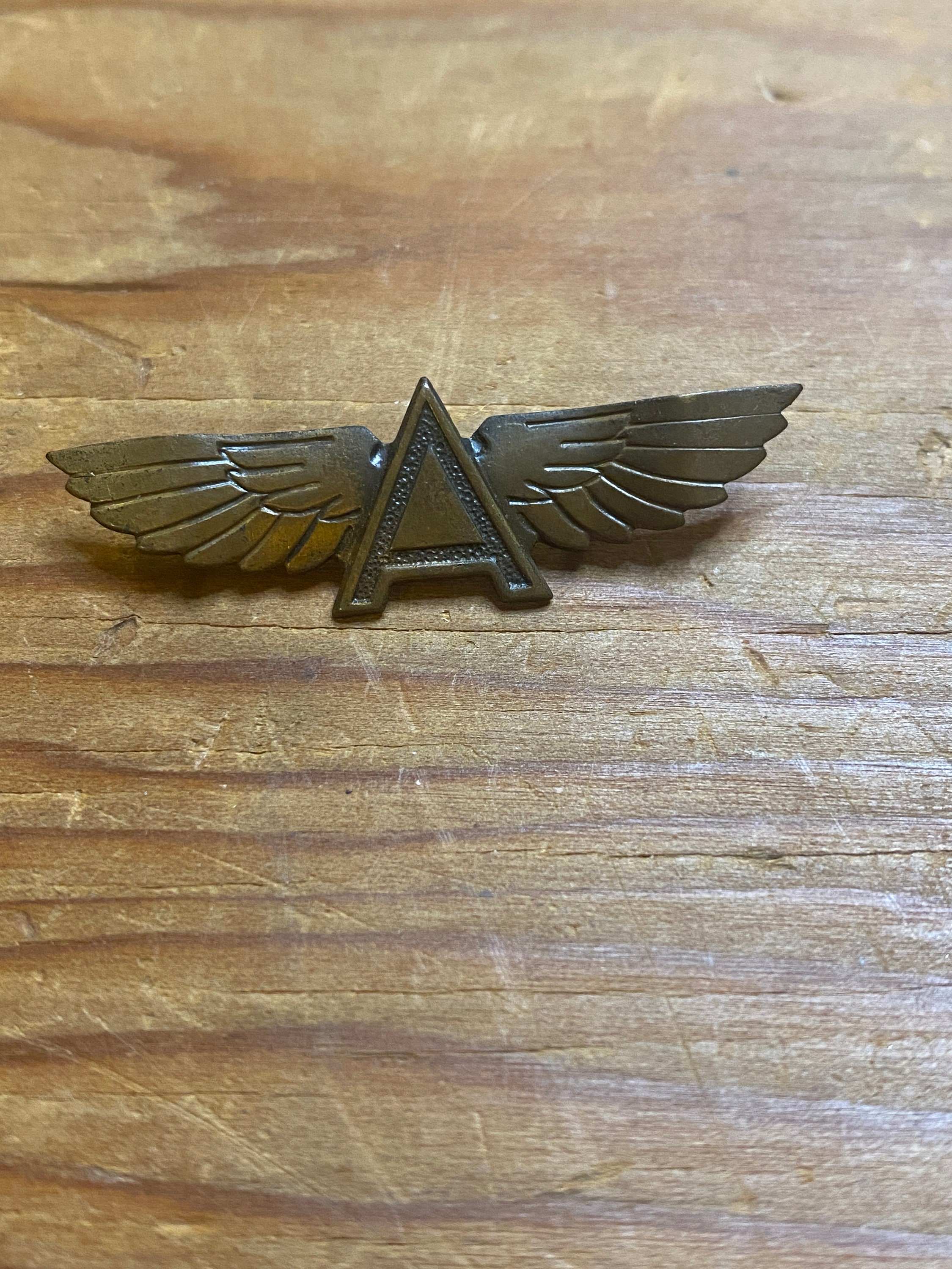 Flying Wings Pin