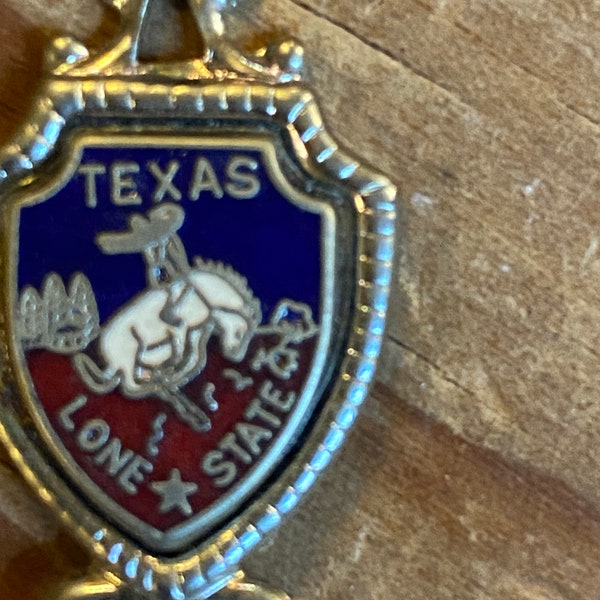 Texas Souvenir Spoon - Etsy