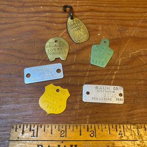 Set of Six Dog Tags Ranging in Years - Etsy