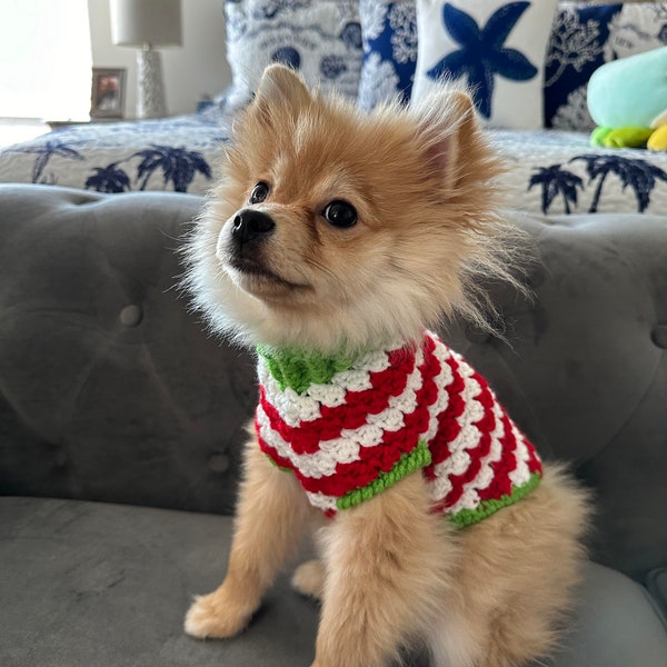 Small Dog Sweater - Etsy