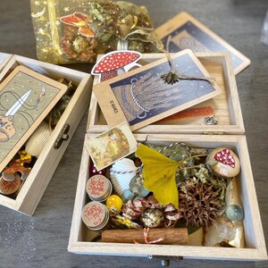 Fairy Mystery Treasure Box or Bag, Fae Trinkets & Fairycore Curiosities ...