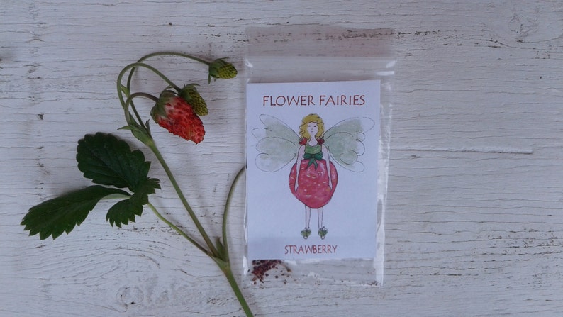 FLOWER FAIRIES Strawberry Seeds Flower Fairy Birthday Favor | Etsy