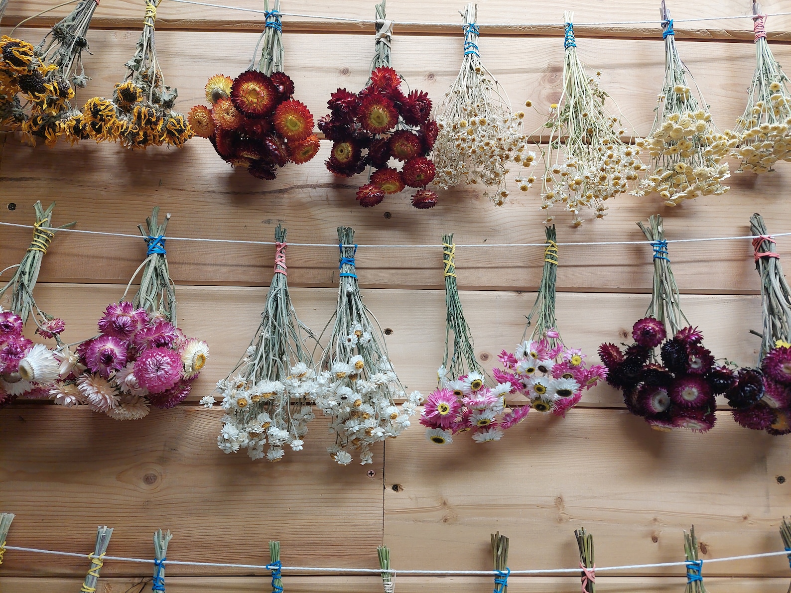 Dried Mini Bunches of Dried Flowers Build Your Own Bouquet, Petite ...