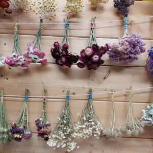 Dried Mini Bunches of Dried Flowers Build Your Own Bouquet, Petite ...