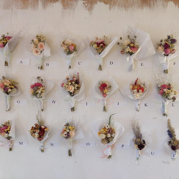 Mini Dried Flowers - Etsy