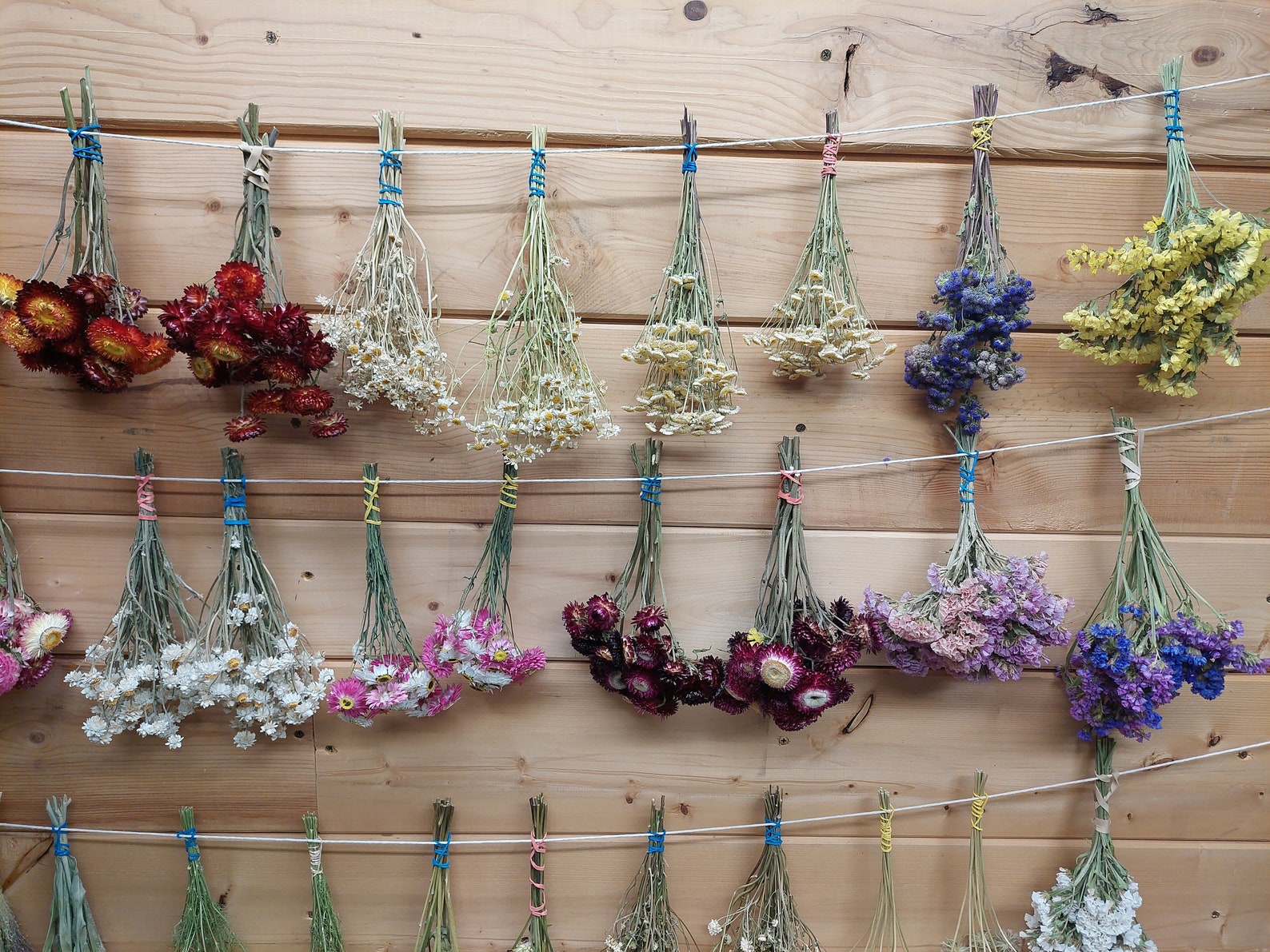 Dried Mini Bunches of Dried Flowers Build Your Own Bouquet, Petite ...