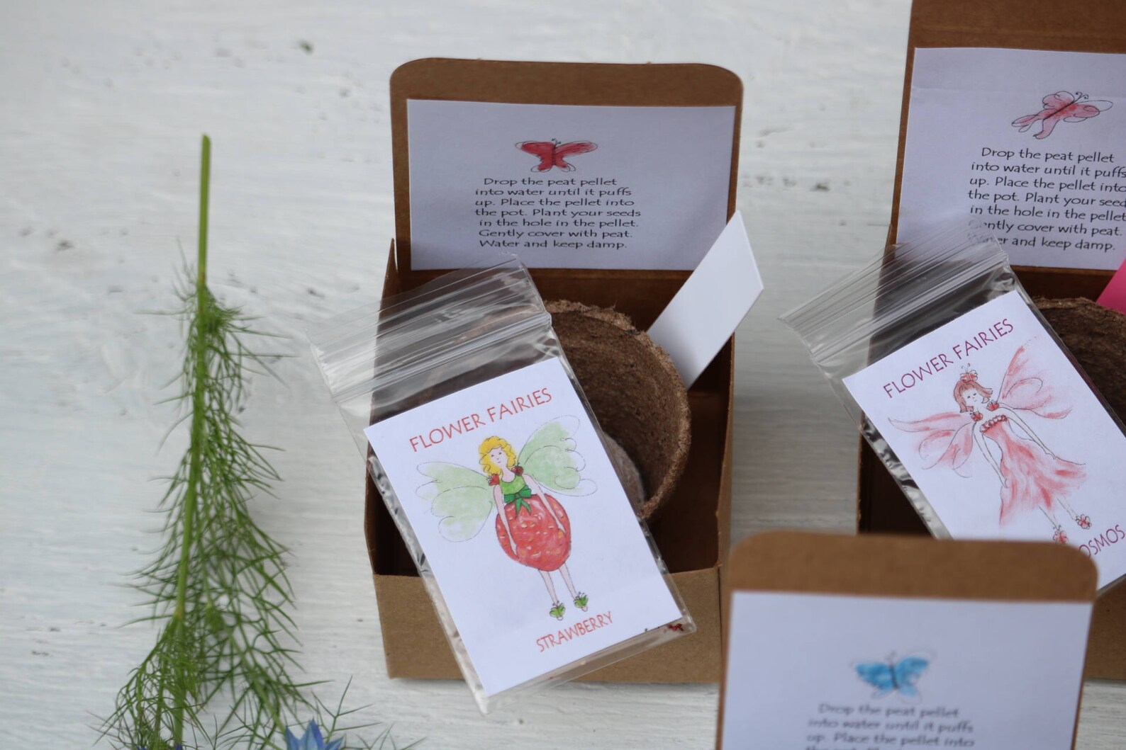 FLOWER FAIRIES Strawberry Seeds Flower Fairy Birthday Favor | Etsy