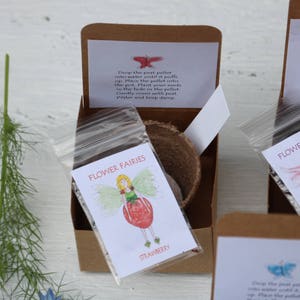 FLOWER FAIRIES Strawberry Seeds Flower Fairy Birthday Favor | Etsy