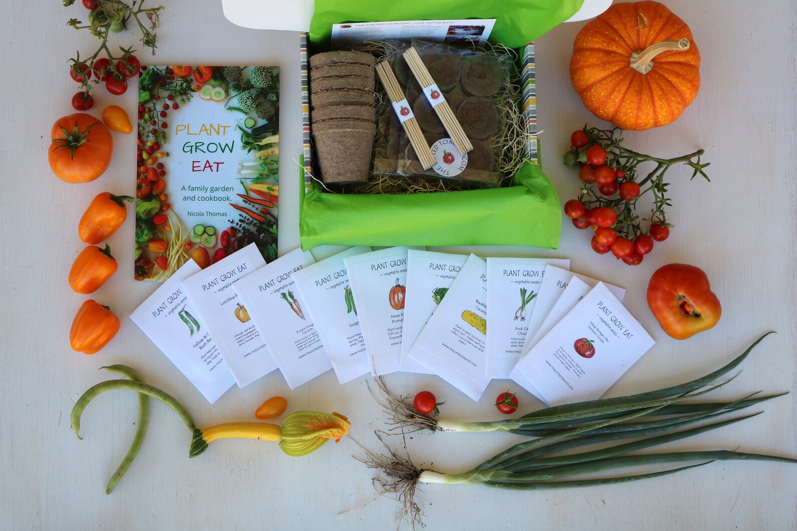 Garden Kit for Kids and Families With Vegetable Seeds and Cookbook, Kid ...