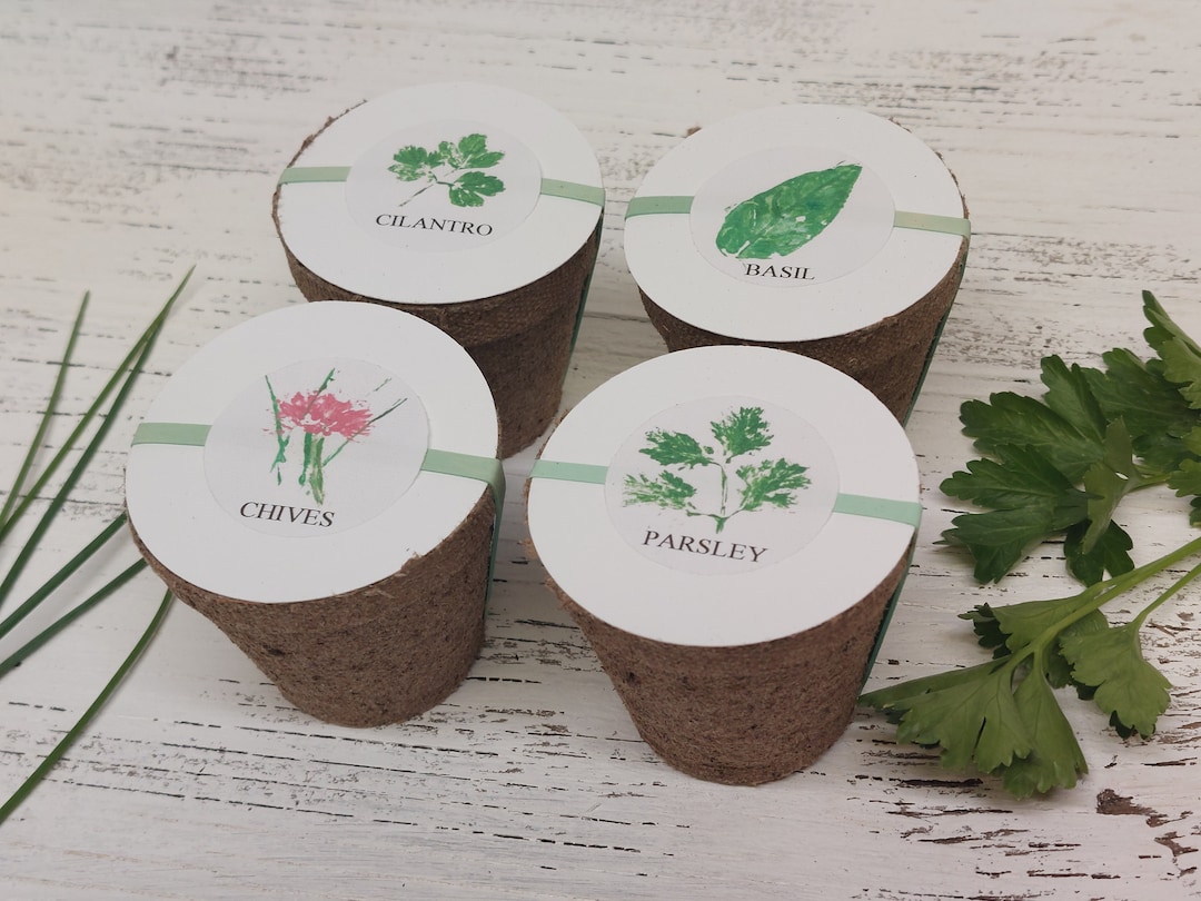 Herb Wedding Favors Set of 4 Herb Kits Garden Party Favor - Etsy