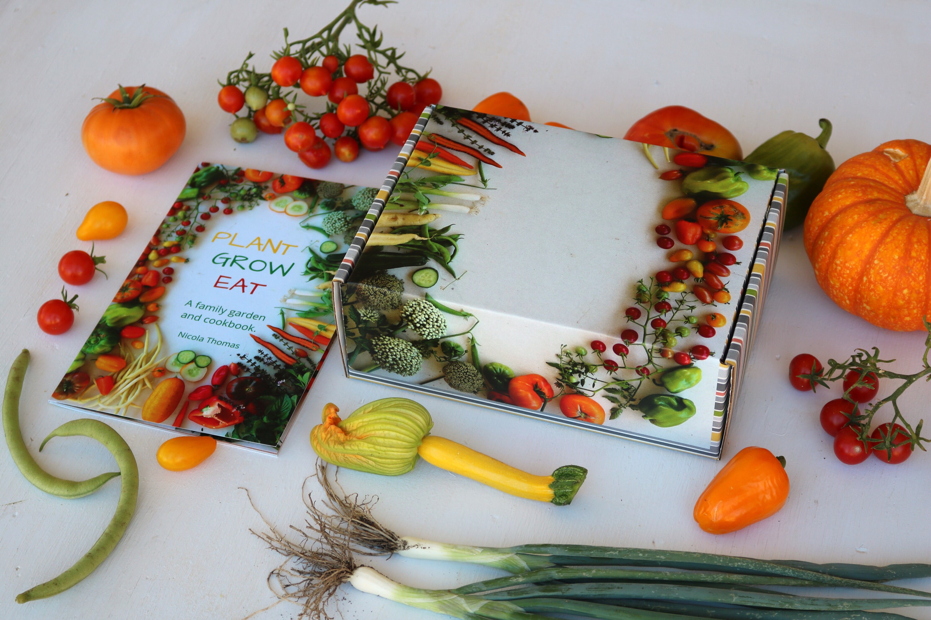 Garden Kit for Kids and Families With Vegetable Seeds and Cookbook, Kid ...
