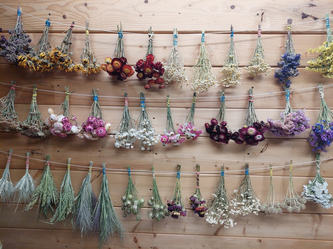Dried Mini Bunches of Dried Flowers - Build Your Own Bouquet, Petite ...