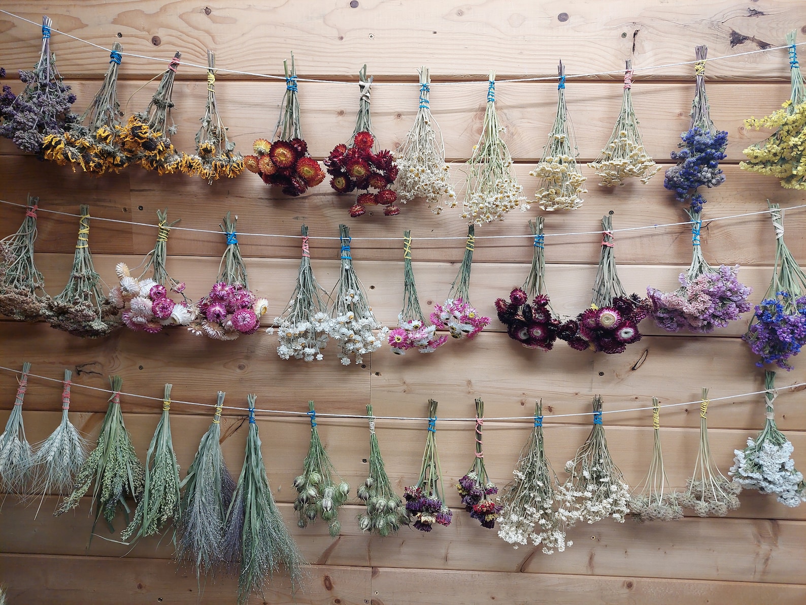 Dried Mini Bunches of Dried Flowers Build Your Own Bouquet, Petite ...