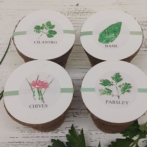 Herb Wedding Favors Set of 4 Herb Kits Garden Party Favor - Etsy