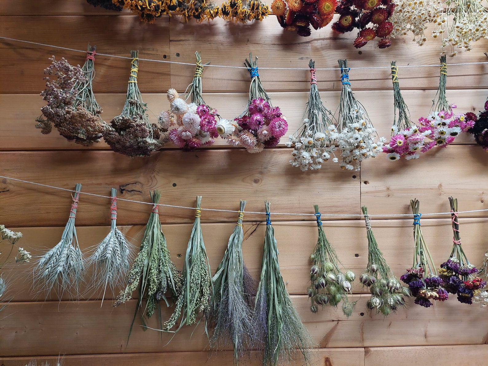 Dried Mini Bunches of Dried Flowers Build Your Own Bouquet, Petite ...