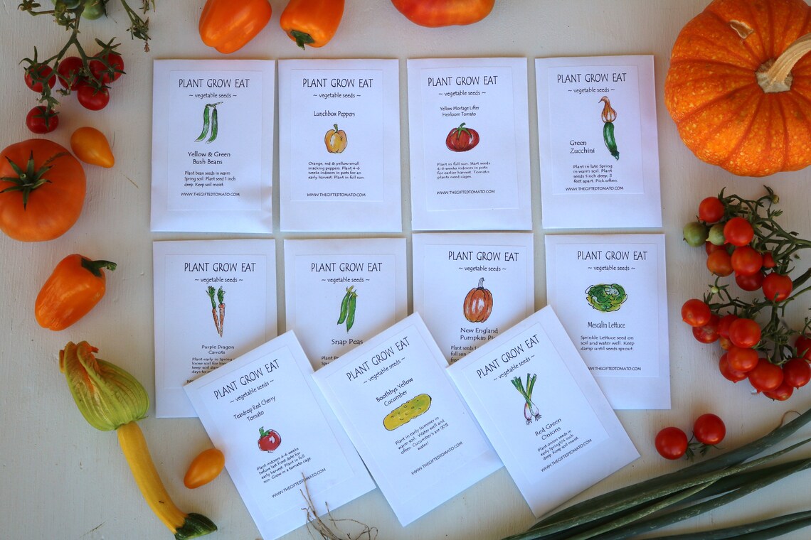 Garden Kit for Kids and Families With Vegetable Seeds and Cookbook, Kid ...