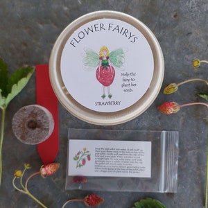 FLOWER FAIRIES Strawberry Seeds Flower Fairy Birthday Favor Garden ...