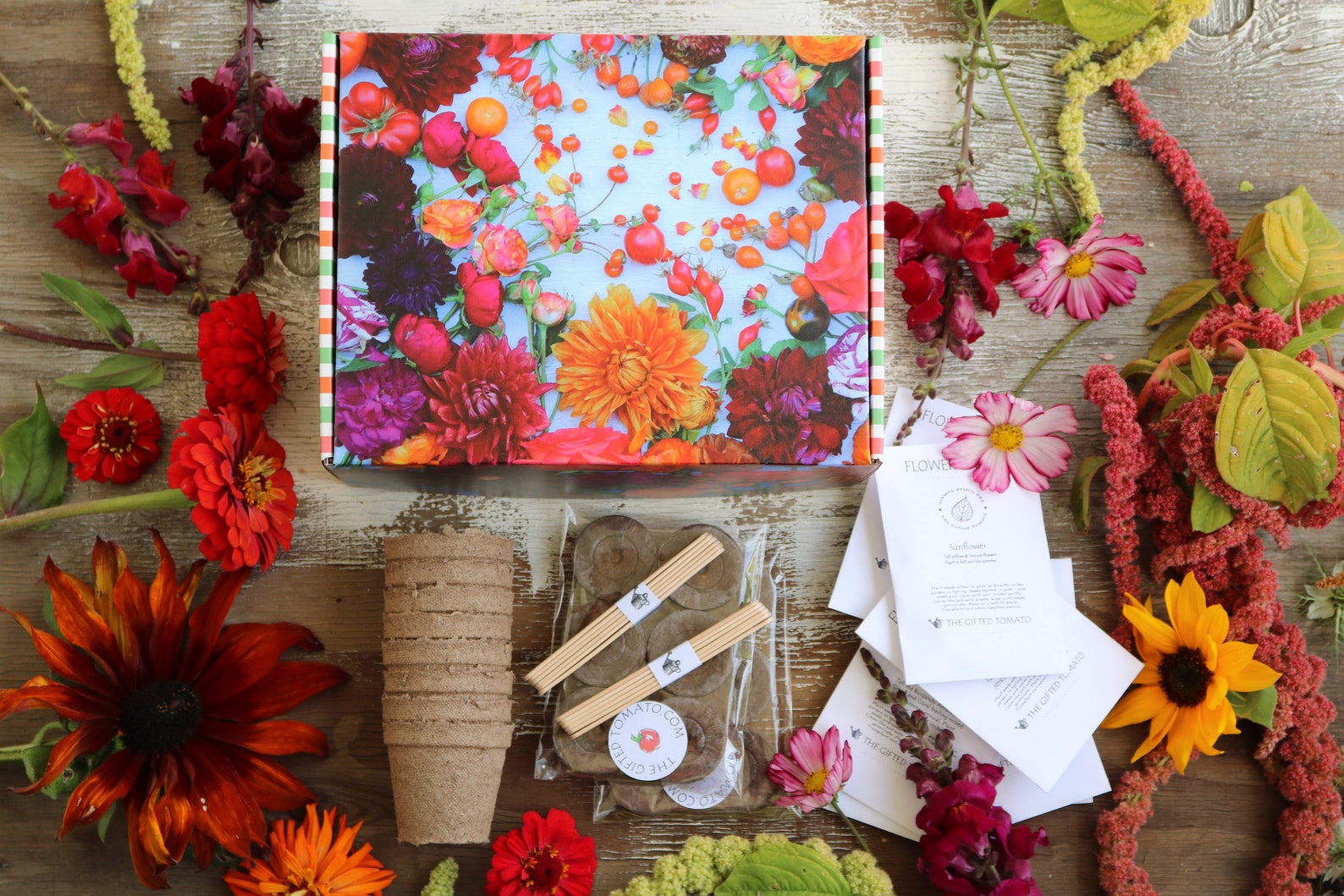 Flower Garden Grow Kit Seed Starter Kit Easy to Grow - Etsy