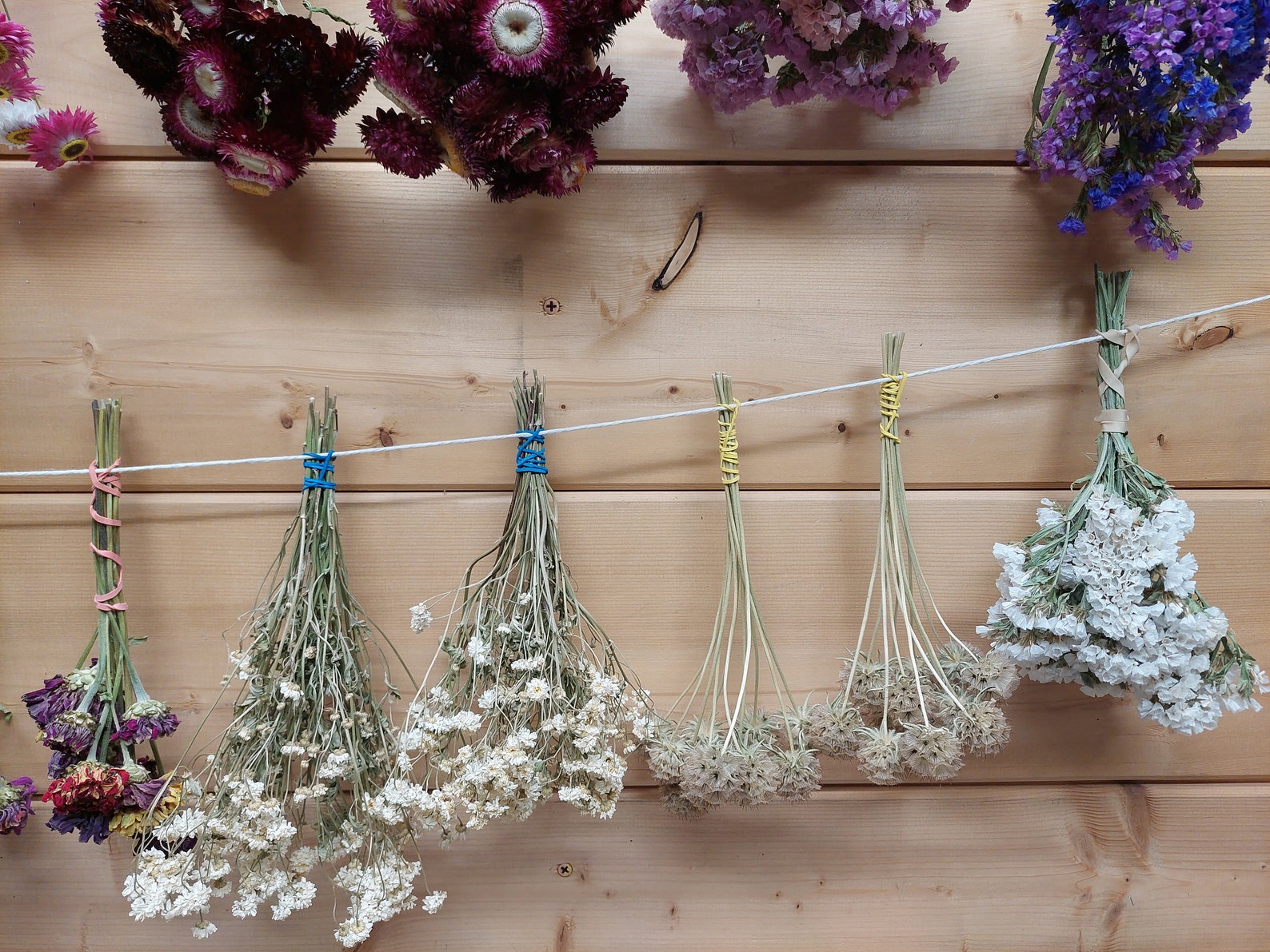 Dried Mini Bunches of Dried Flowers Build Your Own Bouquet, Petite ...