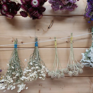 Dried Mini Bunches of Dried Flowers Build Your Own Bouquet, Petite ...