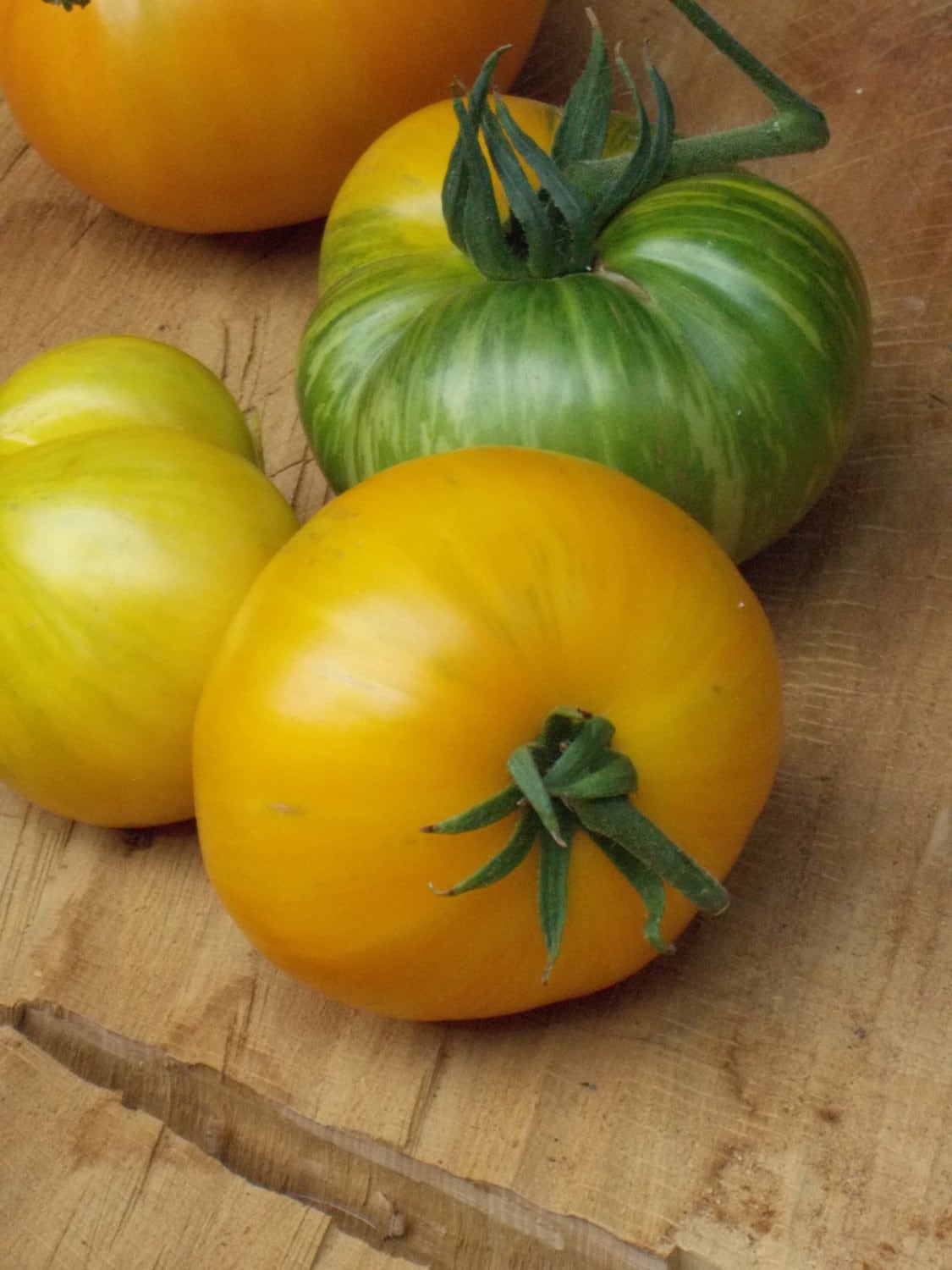 Big Yellow Zebra Tomato Seeds Heirloom Tomato Organic Seeds - Etsy