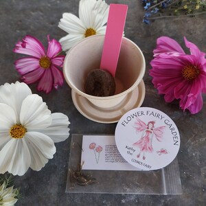 FLOWER FAIRIES Gardening Kit Fairy Garden Houses Birthday Party Favor ...