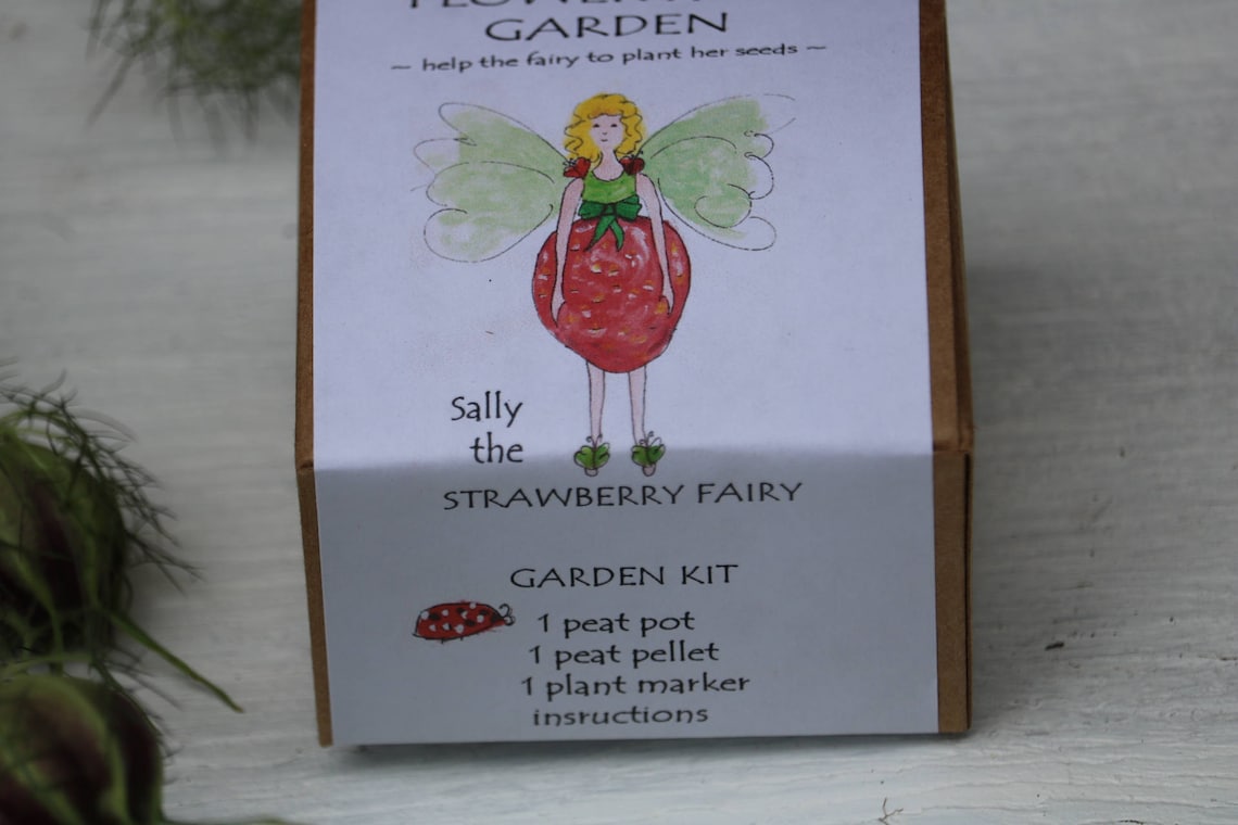 FLOWER FAIRIES Strawberry Seeds Flower Fairy Birthday Favor | Etsy