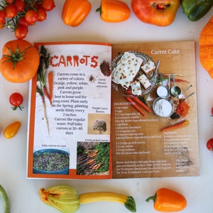 Garden Kit for Kids and Families With Vegetable Seeds and Cookbook, Kid ...