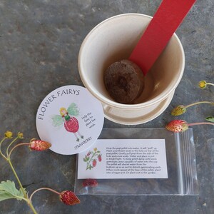 FLOWER FAIRIES Strawberry Seeds Flower Fairy Birthday Favor Garden ...