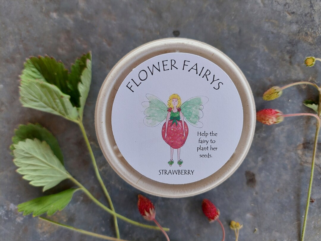 FLOWER FAIRIES Strawberry Seeds Flower Fairy Birthday Favor Garden ...