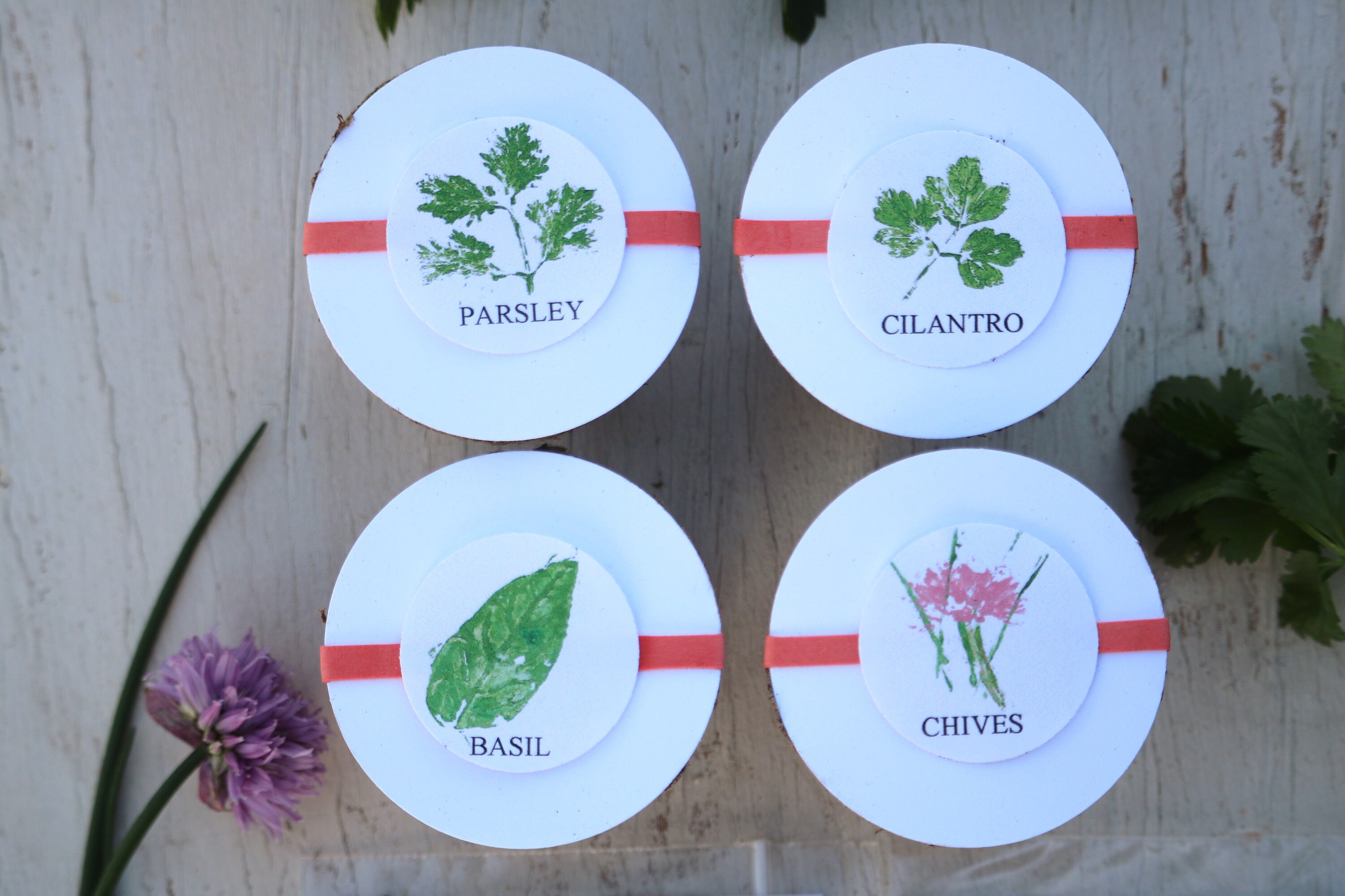 Herb wedding favors set of 4 herb kits garden party favor | Etsy