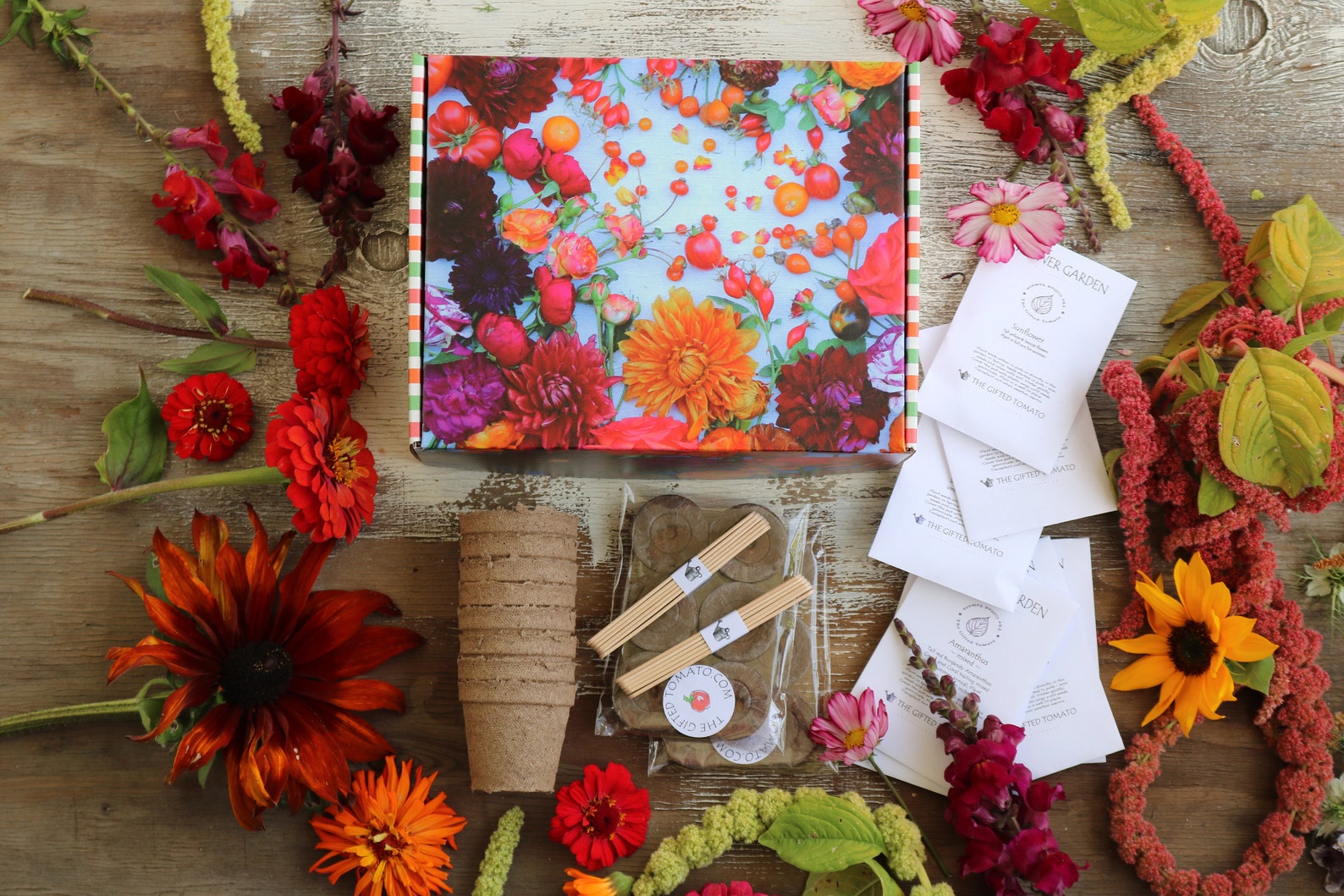 Flower Garden Grow Kit Seed Starter Kit Easy to Grow - Etsy