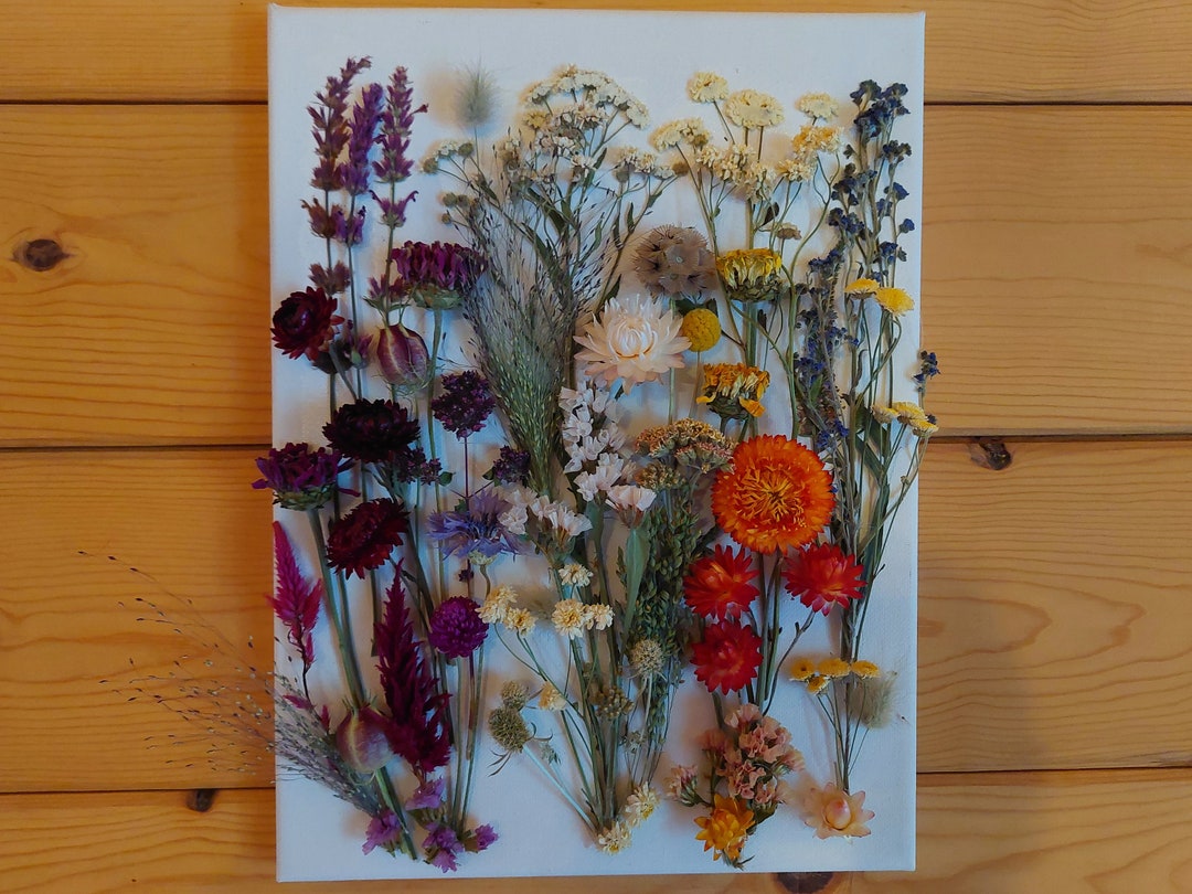 Real Naturally Dried Flower Art on Canvas, Pressed Floral Plant ...