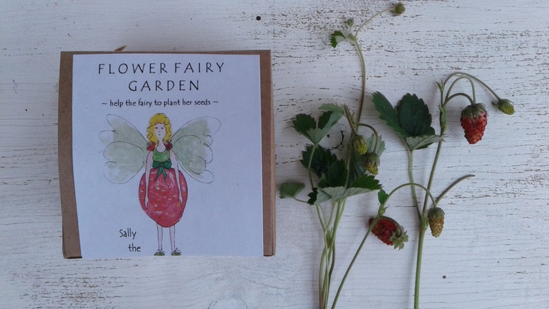 FLOWER FAIRIES Strawberry Seeds Flower Fairy Birthday Favor | Etsy
