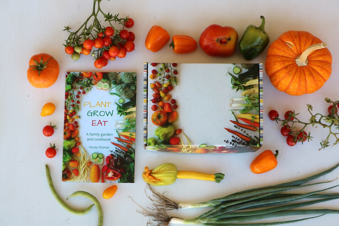 Garden Kit for Kids and Families With Vegetable Seeds and Cookbook, Kid ...