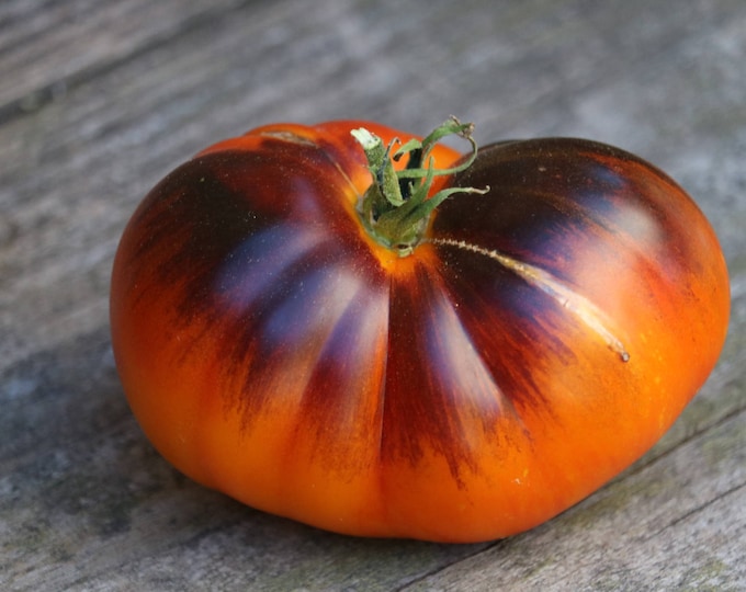 Rare Tomato Seed, Lucid Gem Tomato Seeds, Black Tomato Seed, Organic ...