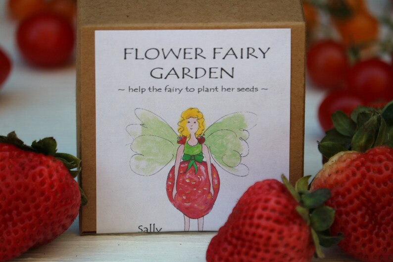 FLOWER FAIRIES Strawberry Seeds Flower Fairy Birthday Favor | Etsy