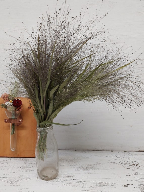 Dried Grasses Frosted Explosion Optic Grass 20 Stems Bouquet - Etsy