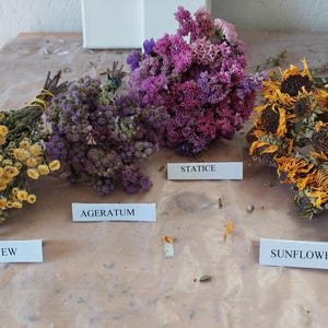 Dried Mini Bunches of Dried Flowers - Build Your Own Bouquet, Petite ...