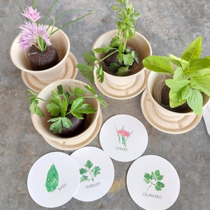 Herb Wedding Favors, Set of 4 Herb Kits, Garden Party Favor, Annual ...