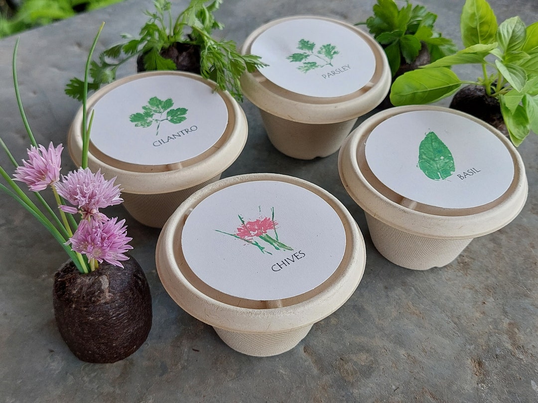 Herb Wedding Favors, Set of 4 Herb Kits, Garden Party Favor, Annual ...