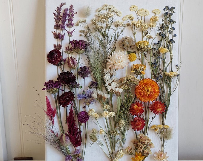 Real Naturally Dried Flower Art on Canvas, Pressed Floral Plant ...